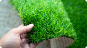 About - Premier Grass