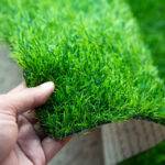 Here Are the 10 Best Types of Grass for Your Lawn - Premier Grass